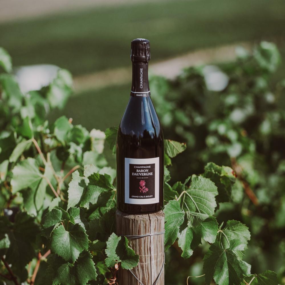 Champagne Baron Dauvergne